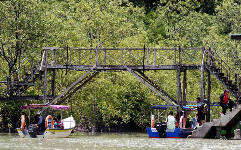 Sarawak’s natural resources help bring in the tourists | FMT