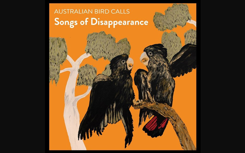 Album of bird calls is taking Australian charts by storm | FMT