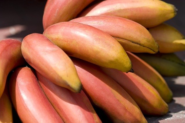 Could Ethiopia’s ‘false banana’ help feed the planet? | FMT