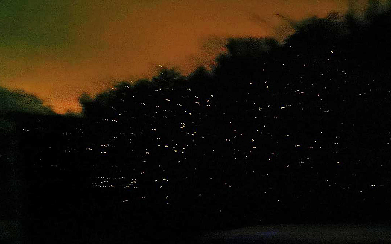 Fireflies and blue tears: magical experiences in Kuala Selangor | Free ...