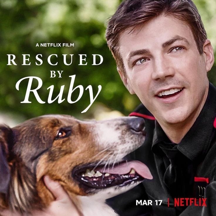‘Rescued by Ruby’: an inspiring ‘tail’ of hope and love | FMT