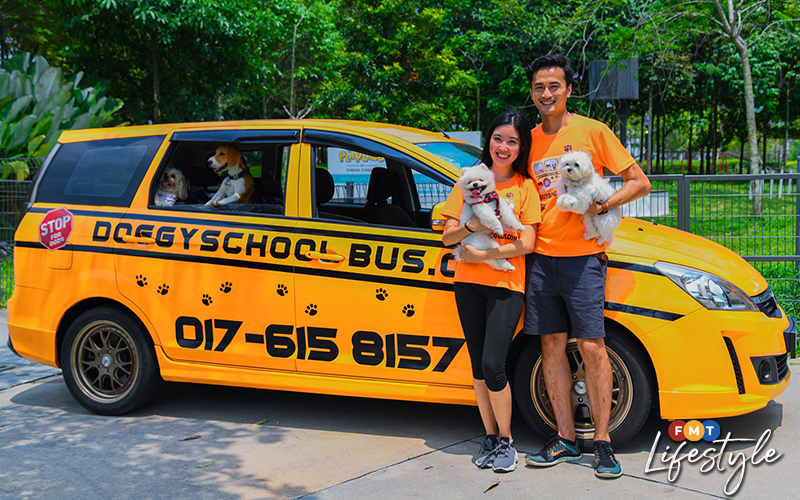 All aboard the Doggy School Bus! | FMT