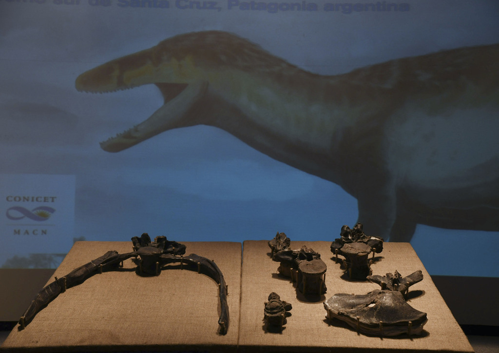 Argentine scientists discover largest raptor fossil | FMT