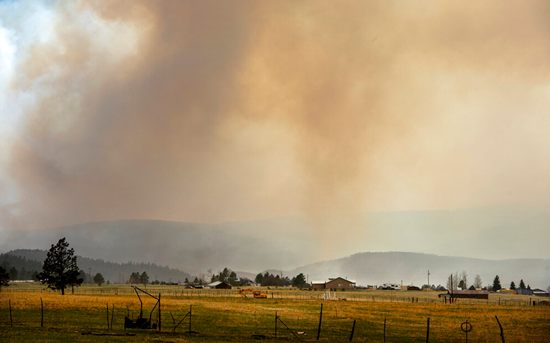 Flood leaves 2 dead after New Mexico’s largest recorded wildfire | FMT