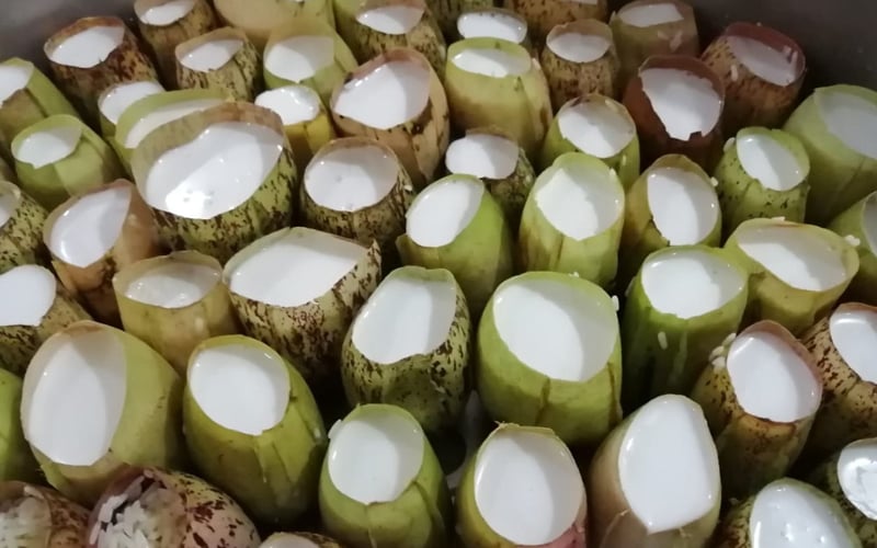 For an exotic Raya, try lemang cooked in a pitcher plant | Free ...