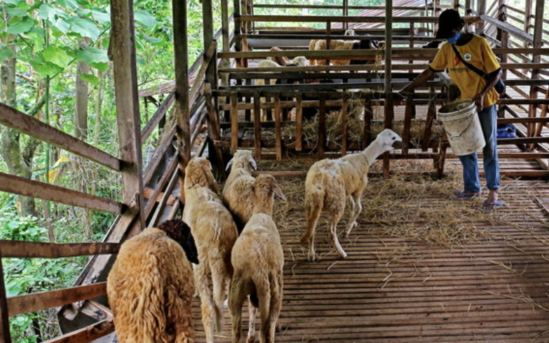 Penternak gesa dasar JPV ‘semata-mata retorik’ dirombak | Free Malaysia ...