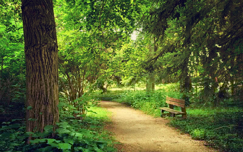 ‘Quiet parks’: havens of peace ideal for mini breaks | FMT