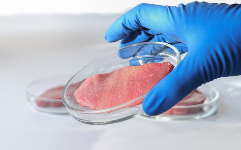 Microbe-based lab beef could save forests, slash CO2 | FMT