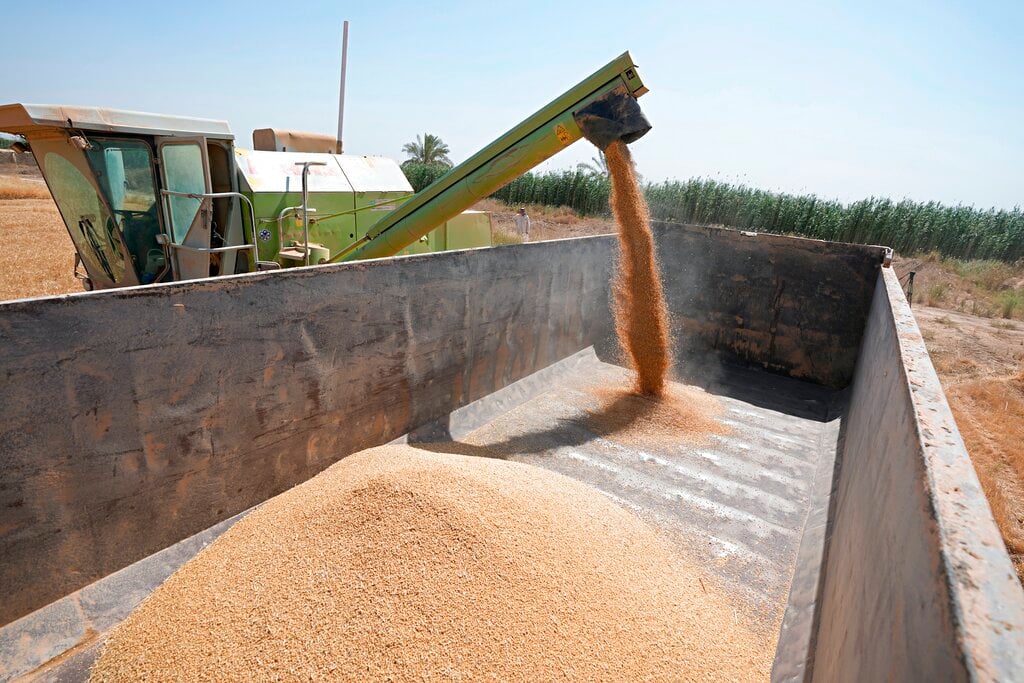 Bangladesh set to import 500,000 tonnes of wheat from Russia | FMT