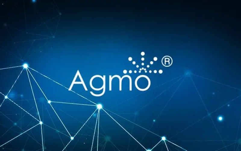 IT specialist Agmo to raise RM22 mil in IPO | FMT