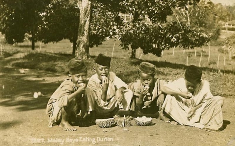 13 vintage postcards from Malaya, circa 100 years ago | FMT