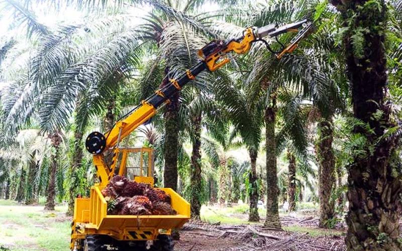 Getting more done with fewer workers | FMT