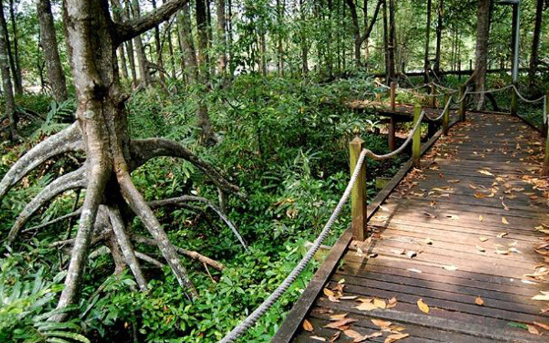 4 ecotourism spots to visit when in Taiping | Free Malaysia Today (FMT)