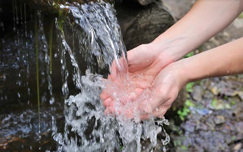 What is dowsing and can it really find water sources? | FMT