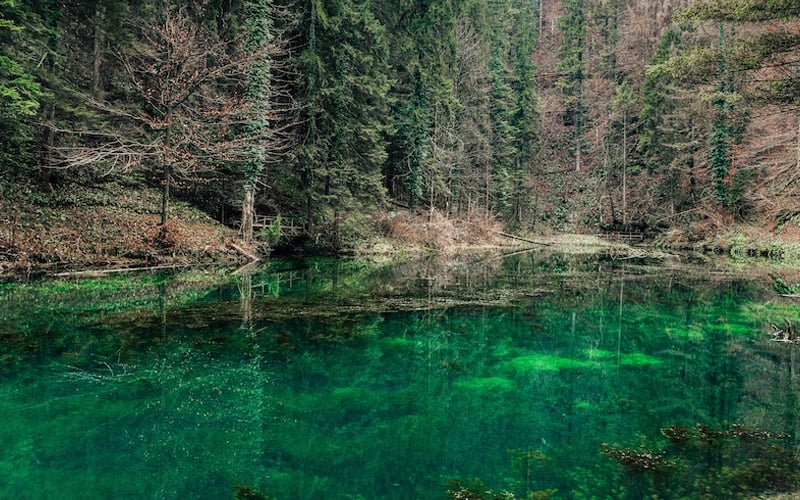 Climate change ‘could cause lakes to change colour’ | FMT