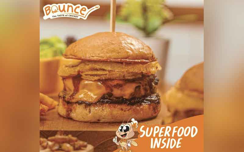 Crunchless crickets: Thai pop-up wins fans with bug burgers | FMT