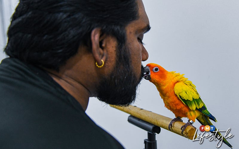 Meet Jada, the parrot who has become a human’s special friend | FMT