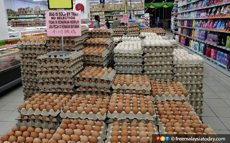 Floating egg and poultry prices a boon to QL Resources, Leong Hup | FMT