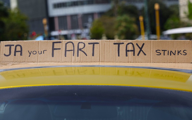 NZ farmers protest against ‘stinky’ livestock ‘burp and fart’ tax | FMT