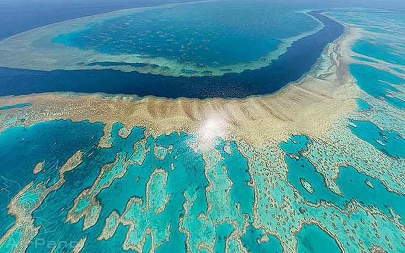 UN panel recommends Great Barrier Reef be put on ‘in danger’ list | FMT
