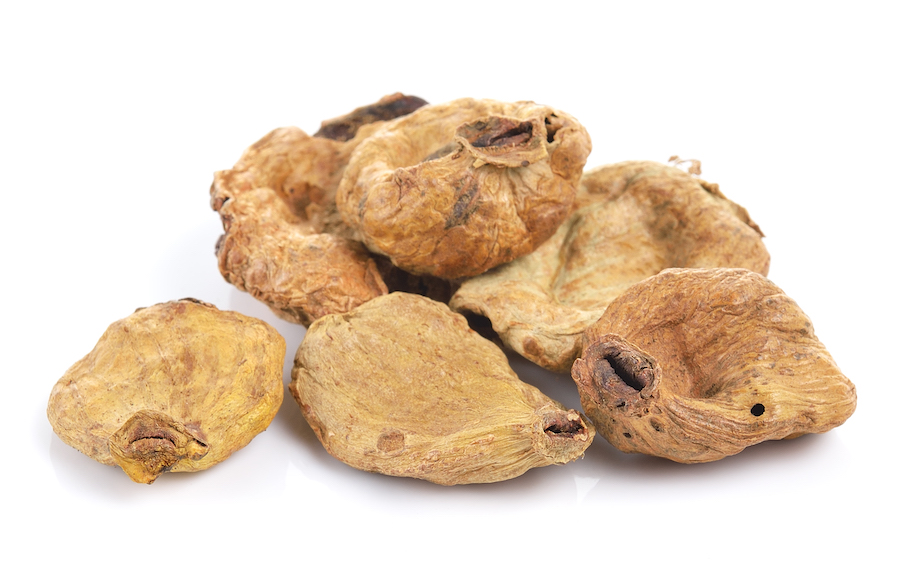 Chebula, the relatively unknown but powerful anti-ageing agent | Free ...