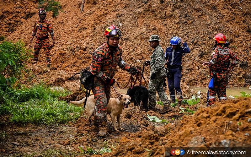 Search and rescue op continues for 9 more landslide victims | FMT