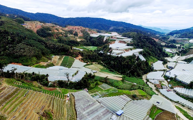 Keep close eye on highland development, say activists | FMT