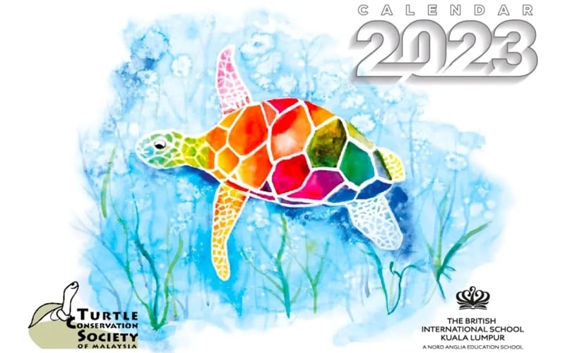 Kids design calendar to raise funds for turtle conservation | FMT