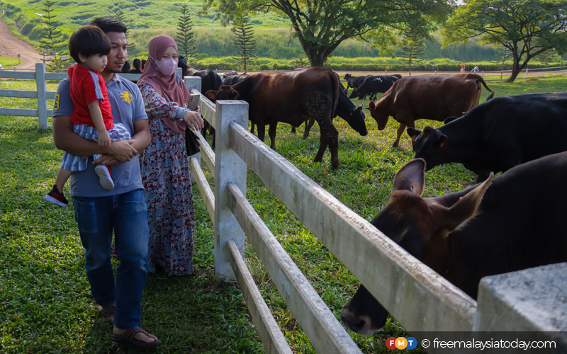 Imbangi gaya hidup aktif, kesejahteraan minda di De Centrum City | FMT