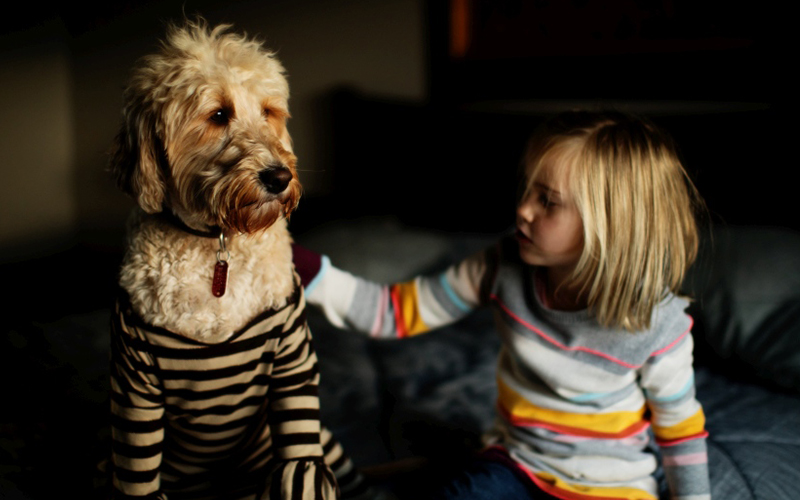 Could dogs teach children about altruism and helping others? | FMT