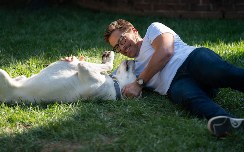 Lost dogs, pandas and other ‘tails’: new on Netflix, Jan 8-14 | Free ...