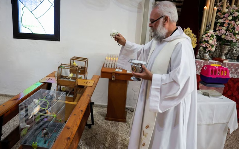 Blessed birds and ferrets: Spanish pets take part in annual Catholic ...