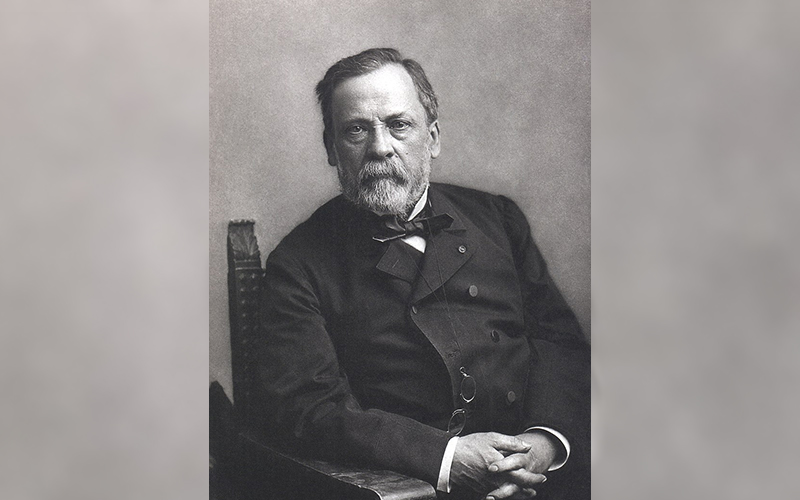 How yeast will play a key role in the foods of the future | FMT