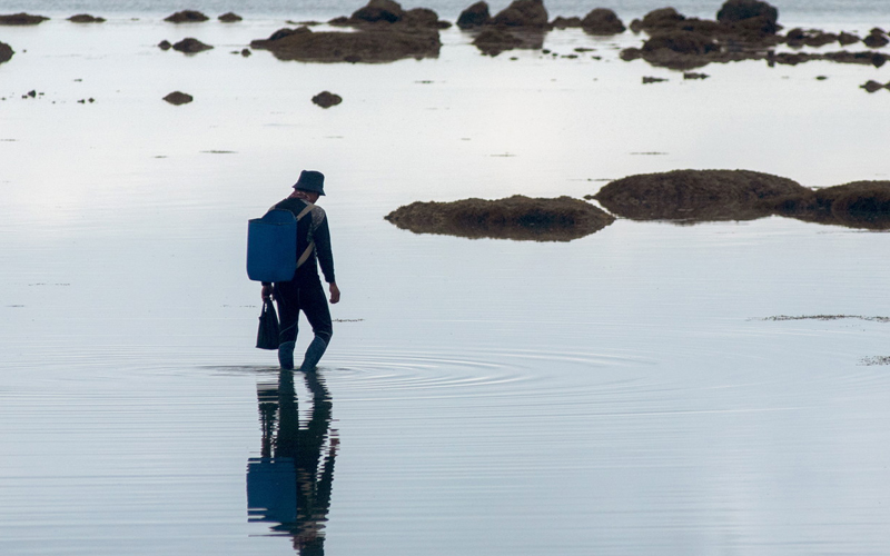 Air pasang merah Sabah: Penduduk Labuan dinasihat elak makan kerang ...