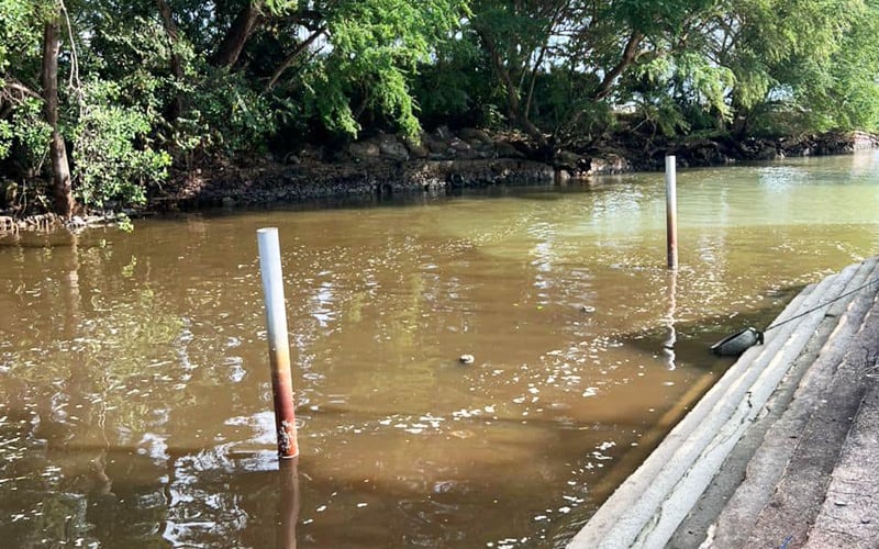 Sg Lereh pollution in Melaka believed caused by cattle and goat farming ...
