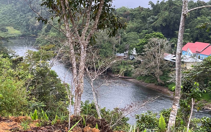 Exploring Borneo’s mighty Sg Kayan for eco-tourism | Free Malaysia ...