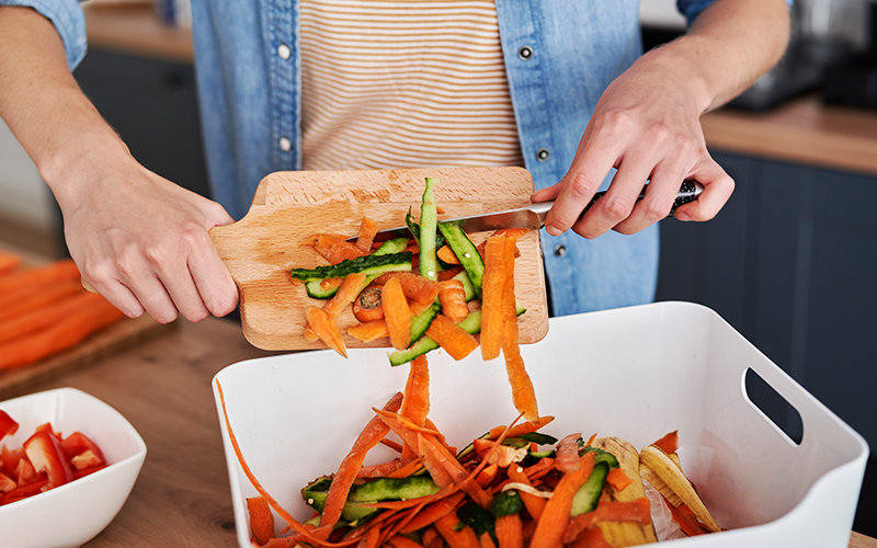 US city turning household food waste into chicken feed | FMT