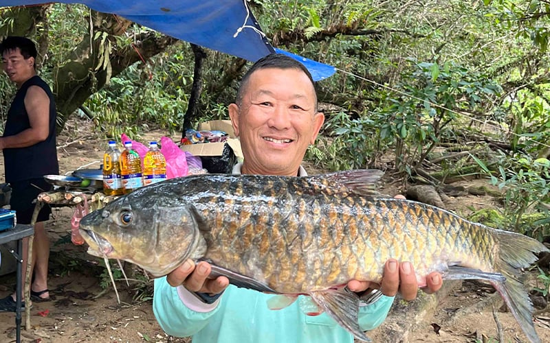 Exploring Borneo’s mighty Sg Kayan for eco-tourism | FMT