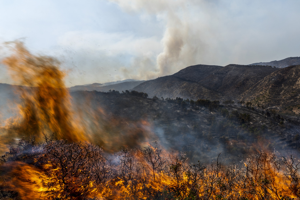First major fire of year destroys 3,000 hectares in Spain | Free ...