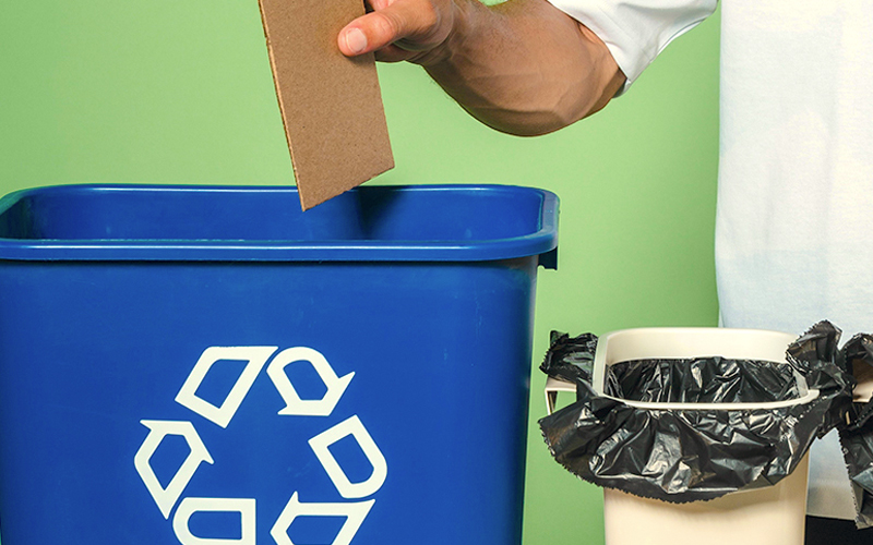 To get people to go green, lead by example – or pay them | FMT