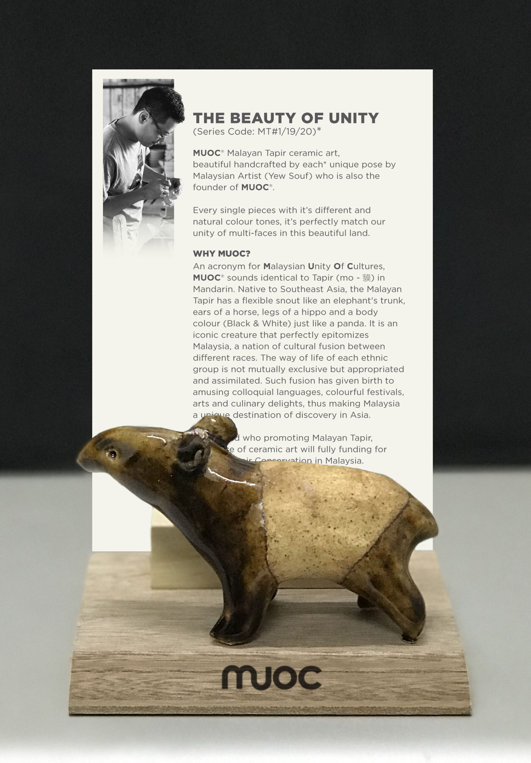 Helping save the Malayan tapir through his artwork | FMT