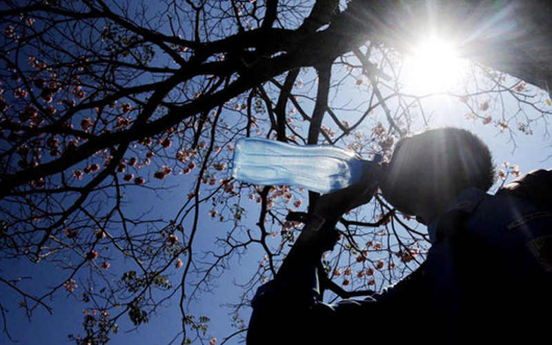 Cuaca panas: Apa yang penjaga perlu tahu | FMT