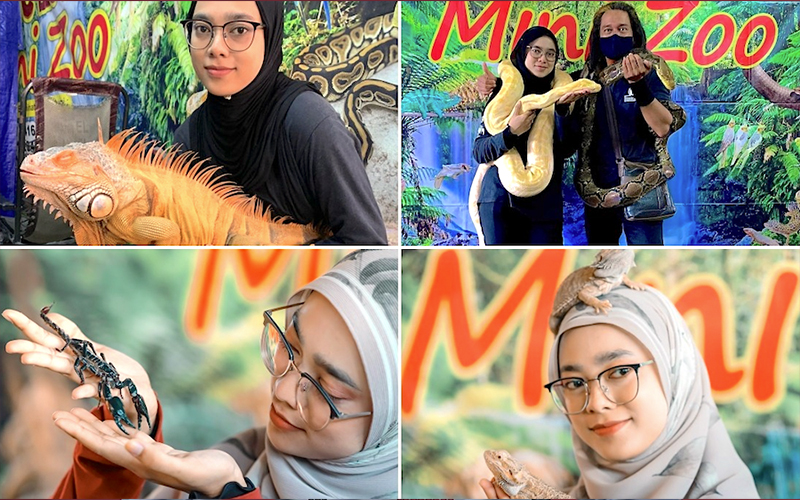 ‘Kakak Raptor’ shares her love for exotic animals with travelling mini ...