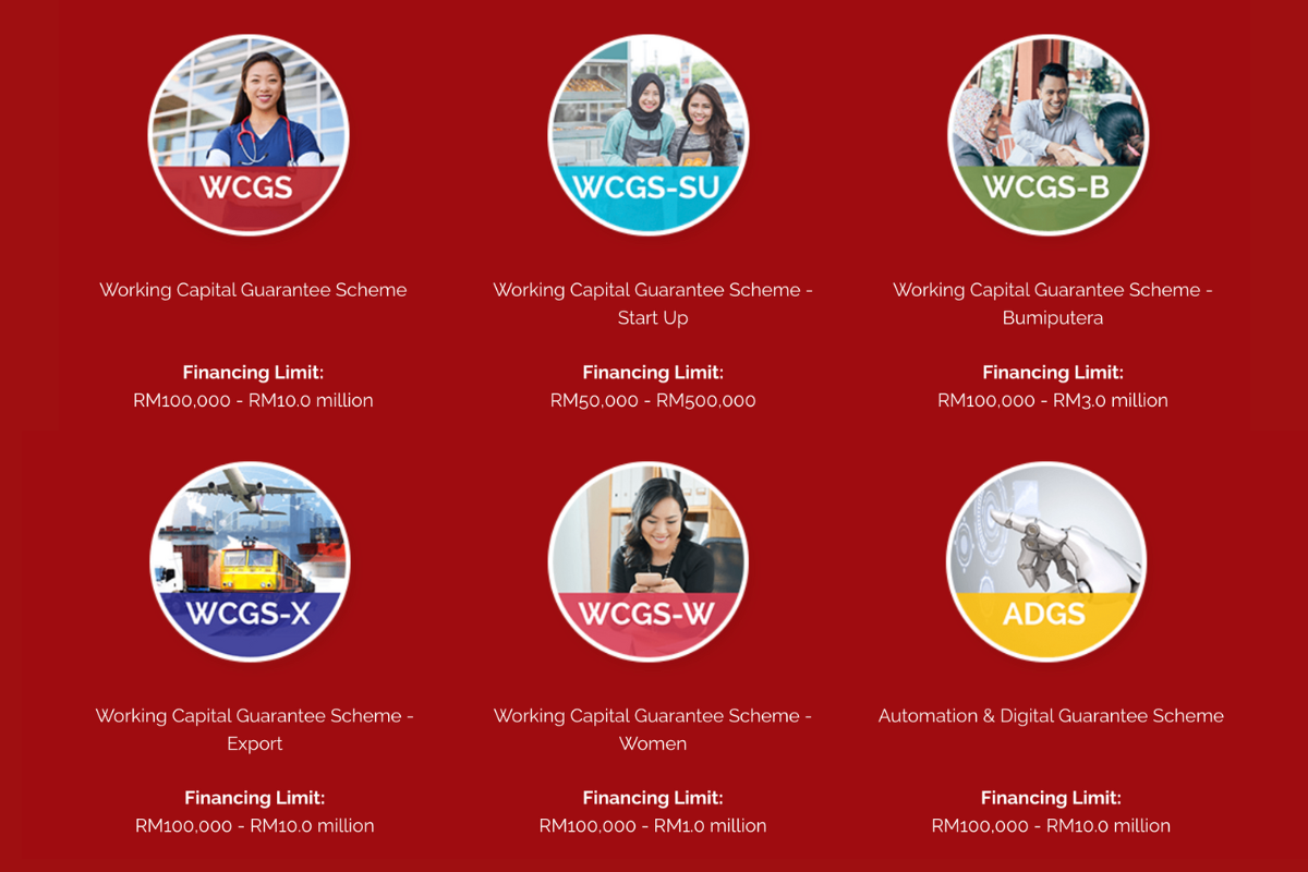 Business financing made easy with SJPP | FMT