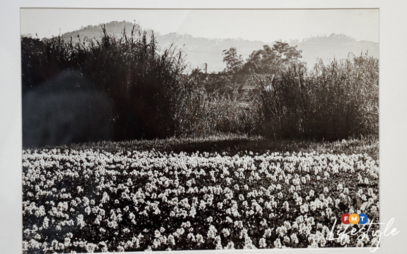 Eric Peris: master photographer talks about his life’s work | Free ...