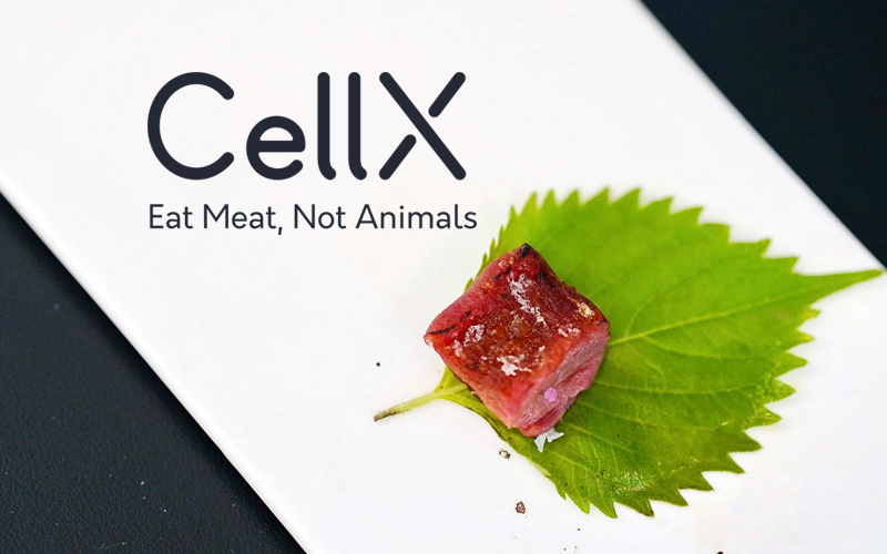 China’s CellX pilots lab-grown meat production | FMT
