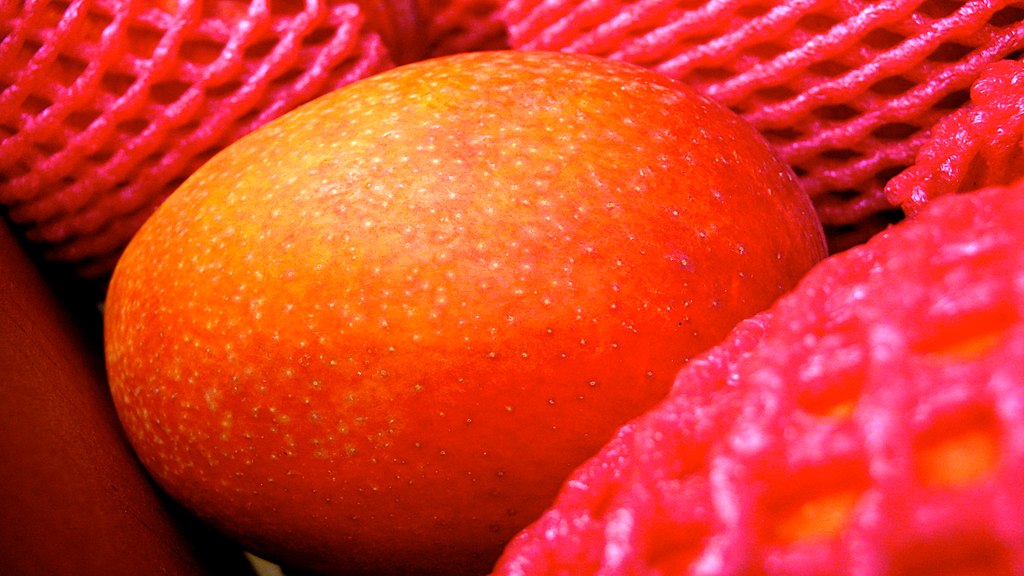 Taiwan slams China’s ban on mango imports | FMT