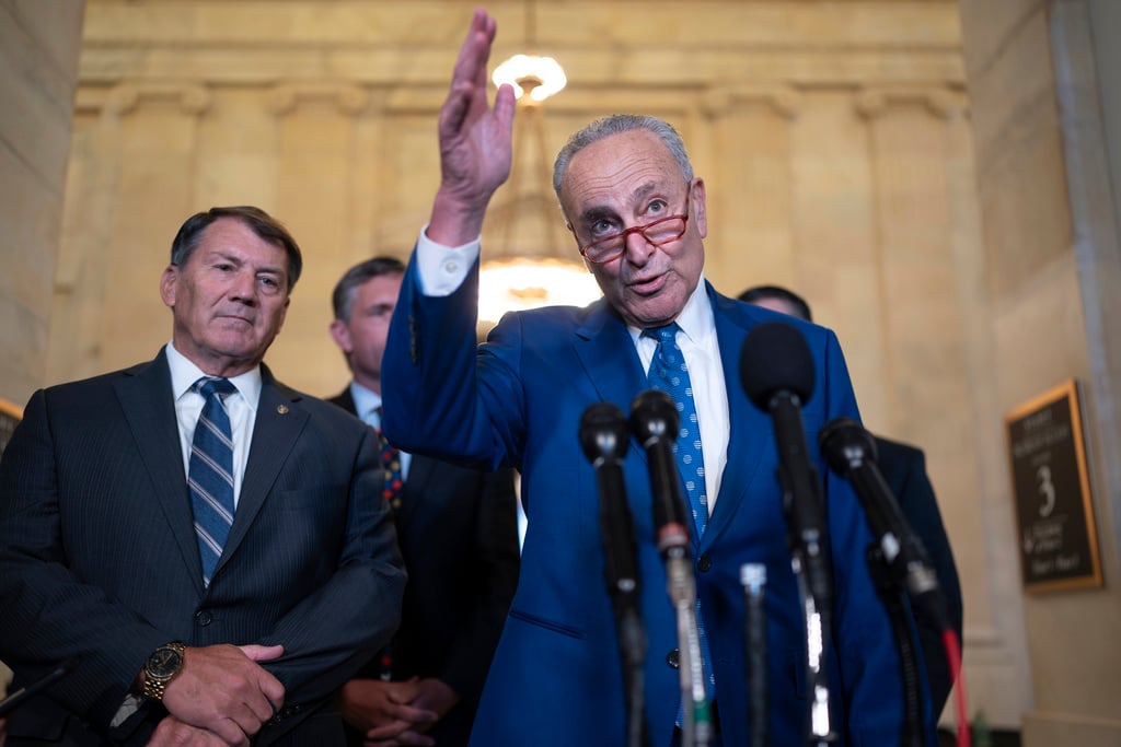 US Senate’s Schumer urges prioritisation of AI election safeguards | FMT