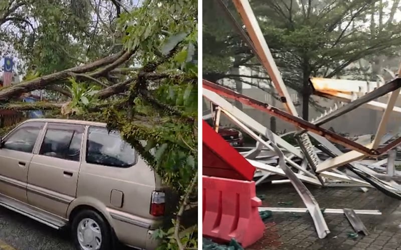 Strong winds uproot 10 trees during heavy rain in KL | FMT