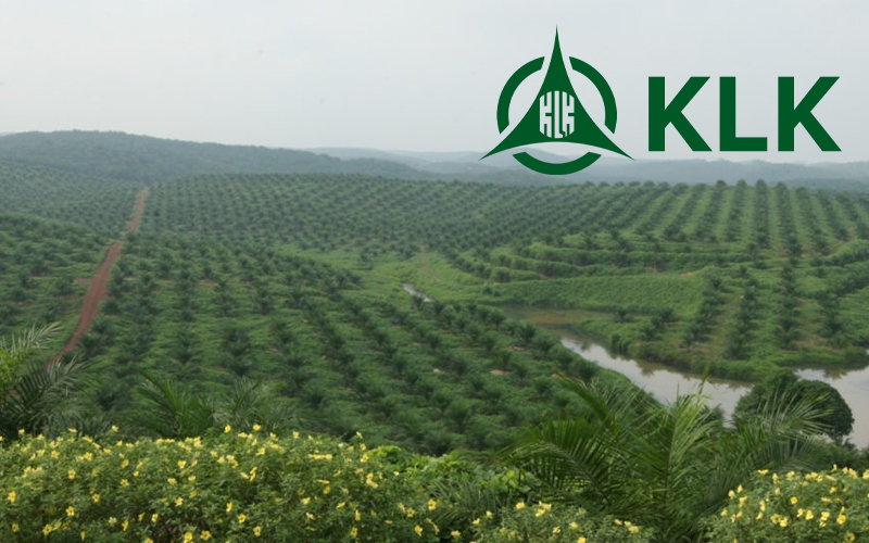 How KLK saved RM3bil by not acquiring BPlant | FMT